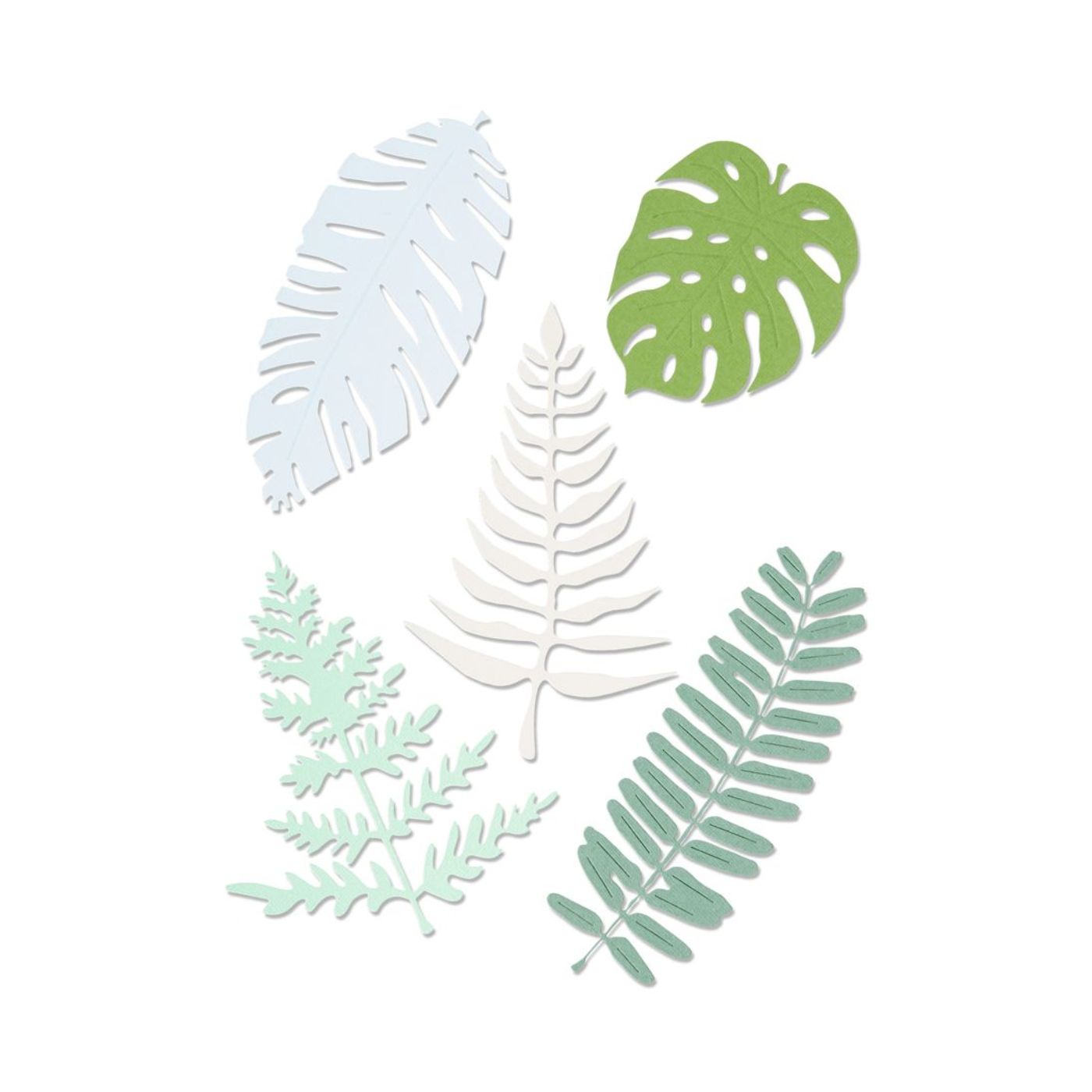 Troqueles Thinlits Plus Hojas tropicales grandes – Printy Store